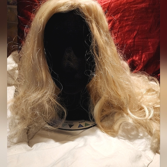 Hocus Pocus | Hair | Long Wig | Poshmark